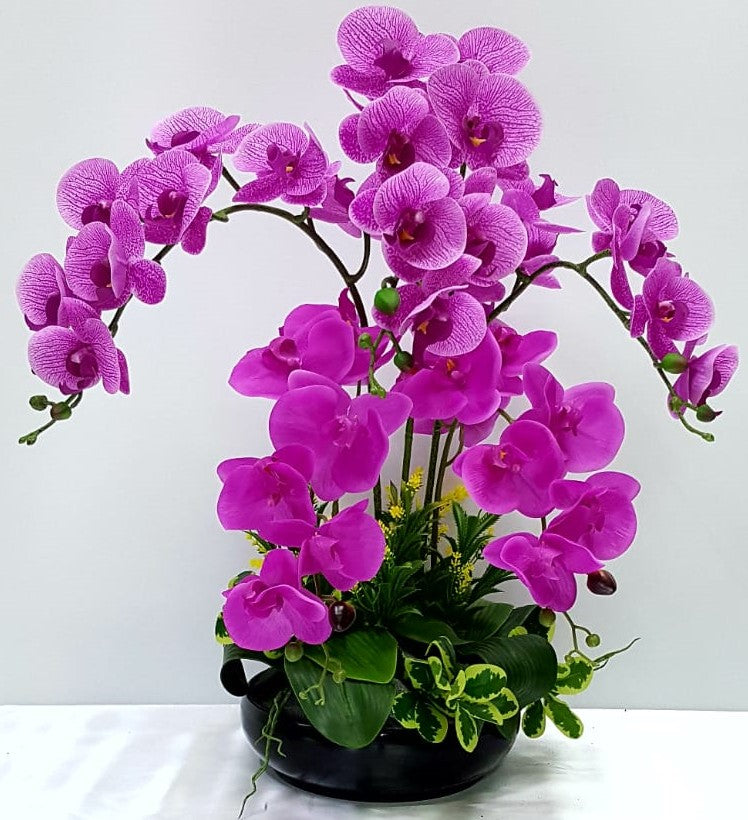 BF 1136 – Bells Flora